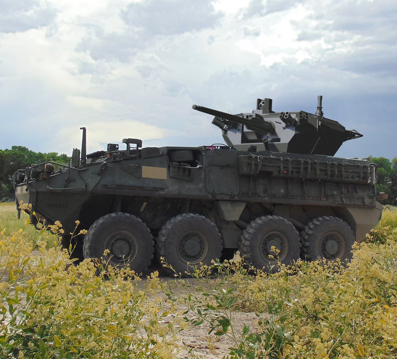 Rafael USA - Rafael USA Inc.