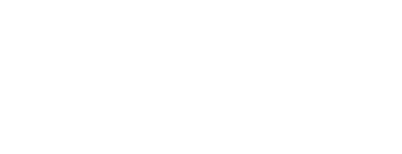 About - Rafael USA Inc.
